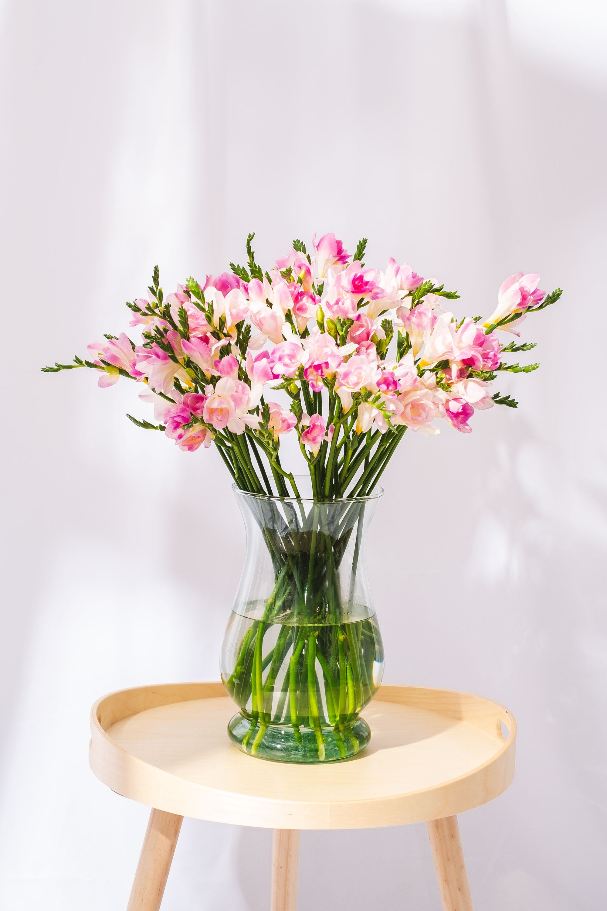 Freesia Pantone